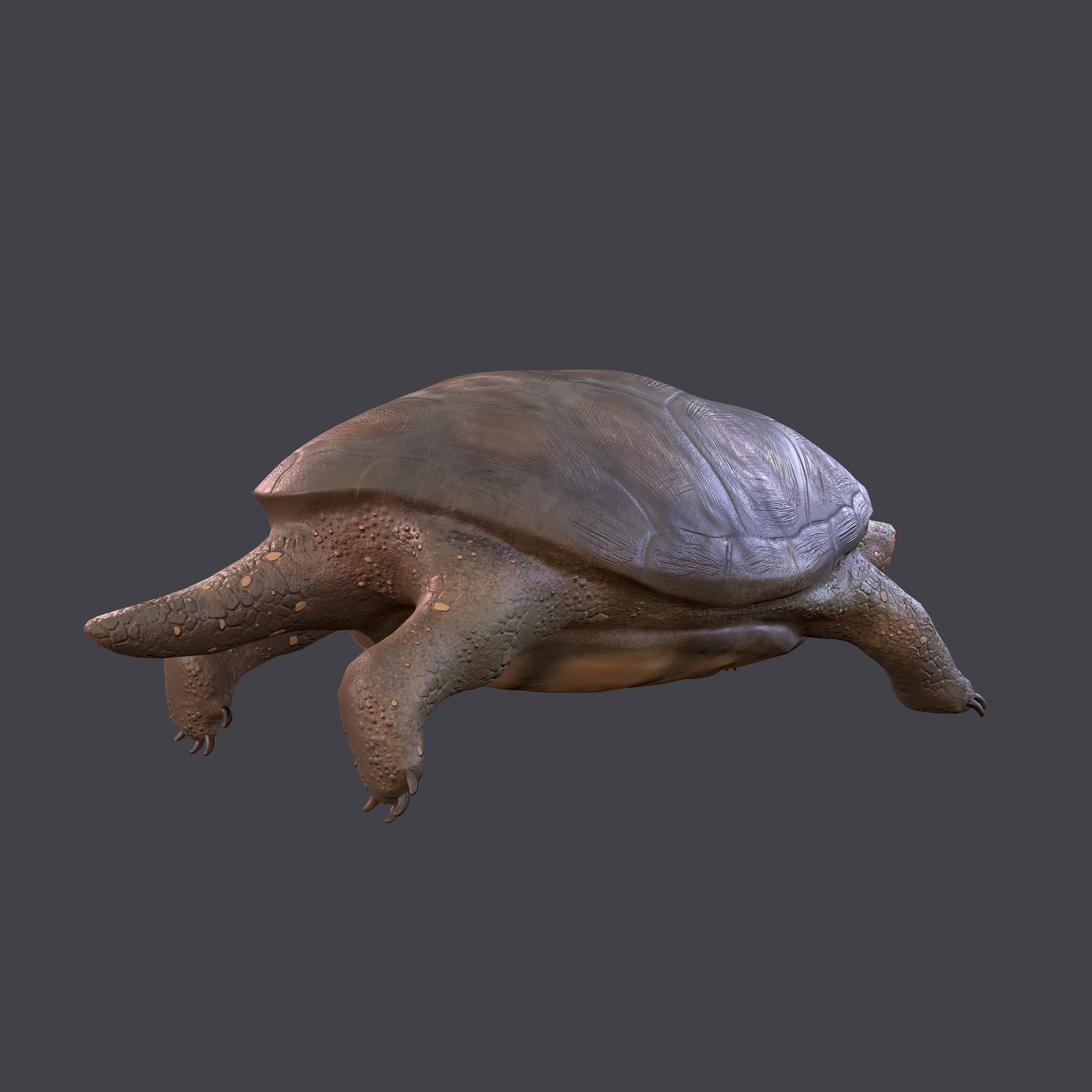 Turtle Brown Reptile - Free 3D Model by Get Dead Entertainment
