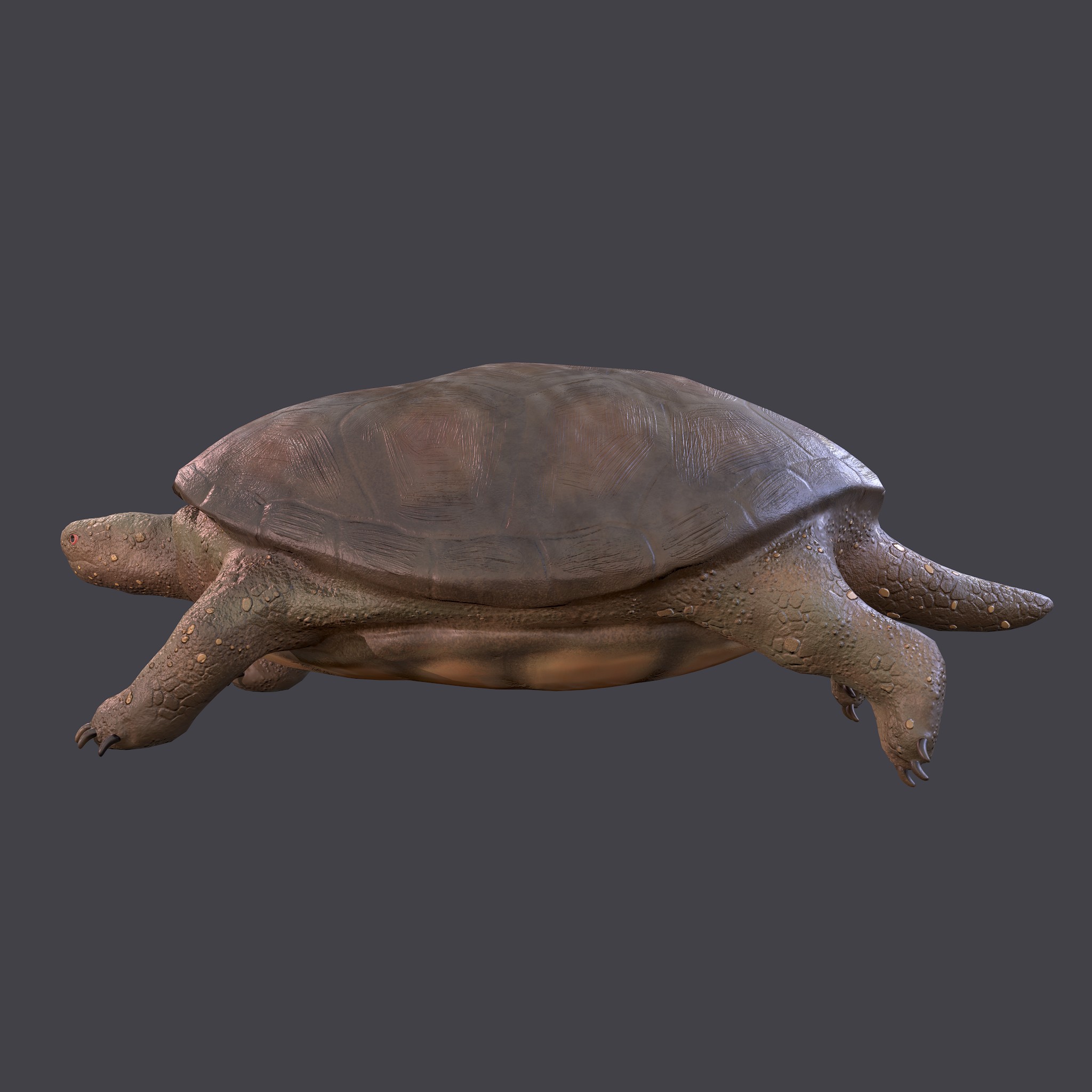 Turtle Brown Reptile - Free 3D Model by Get Dead Entertainment