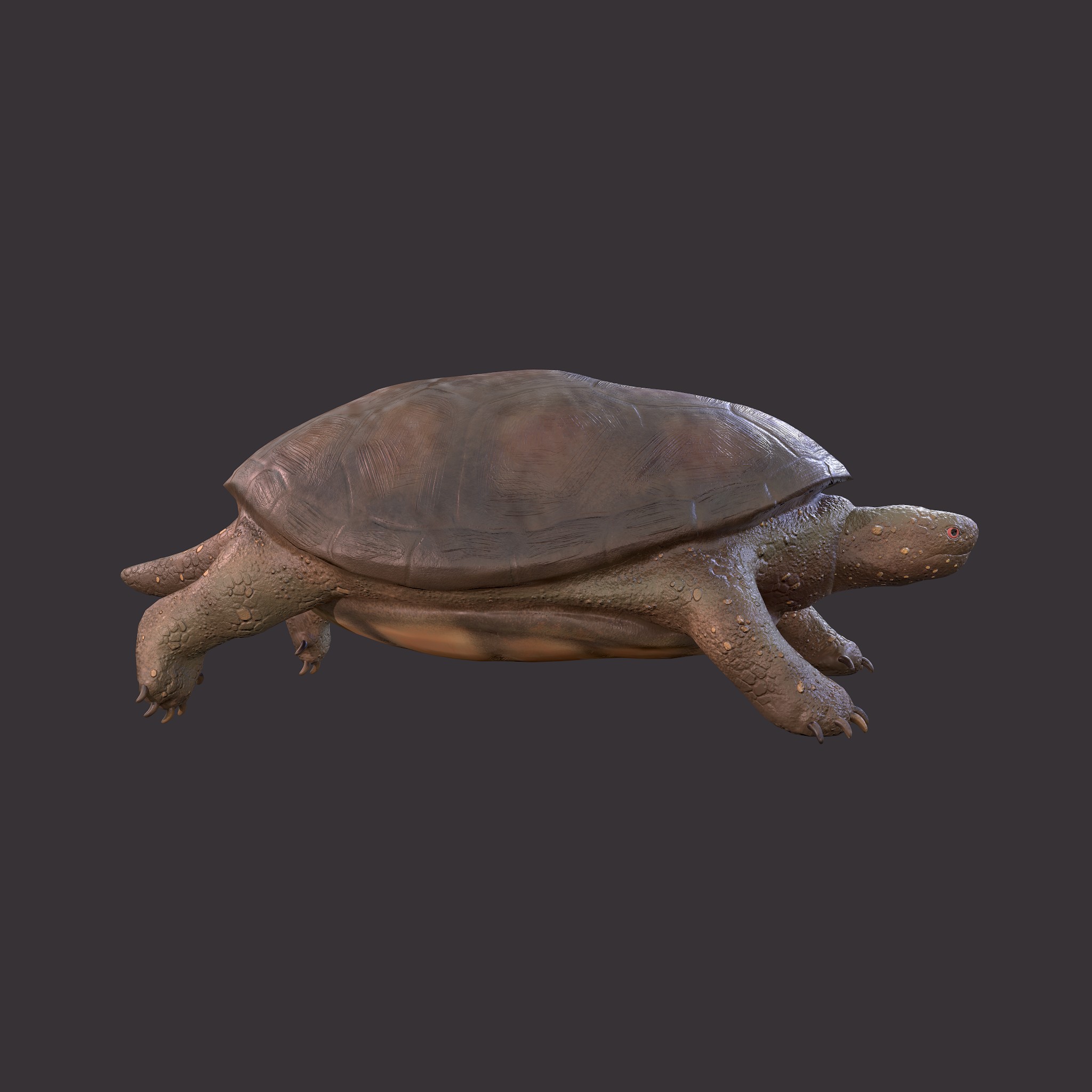 Turtle Brown Reptile - Free 3D Model by Get Dead Entertainment