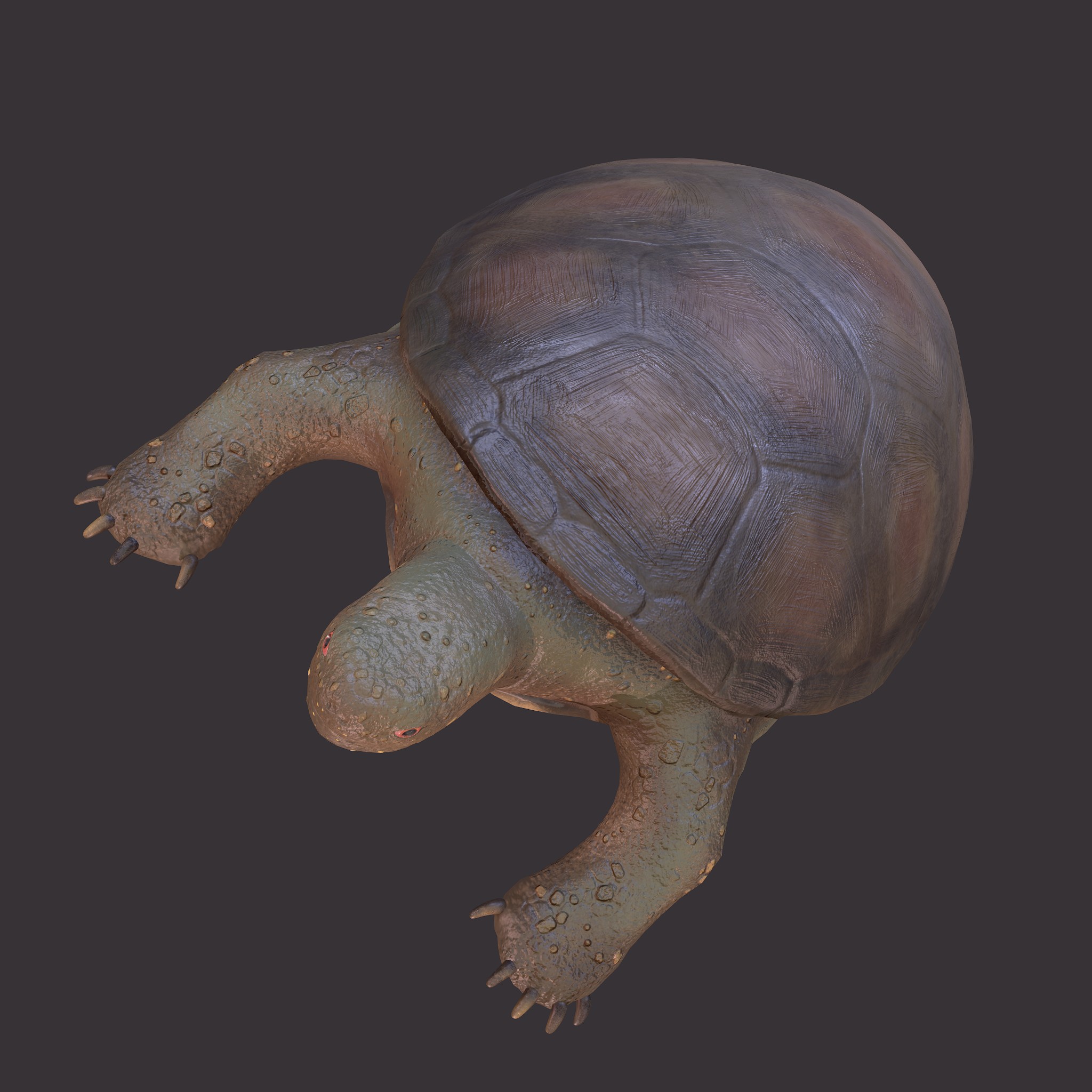 Turtle Brown Reptile - Free 3D Model by Get Dead Entertainment