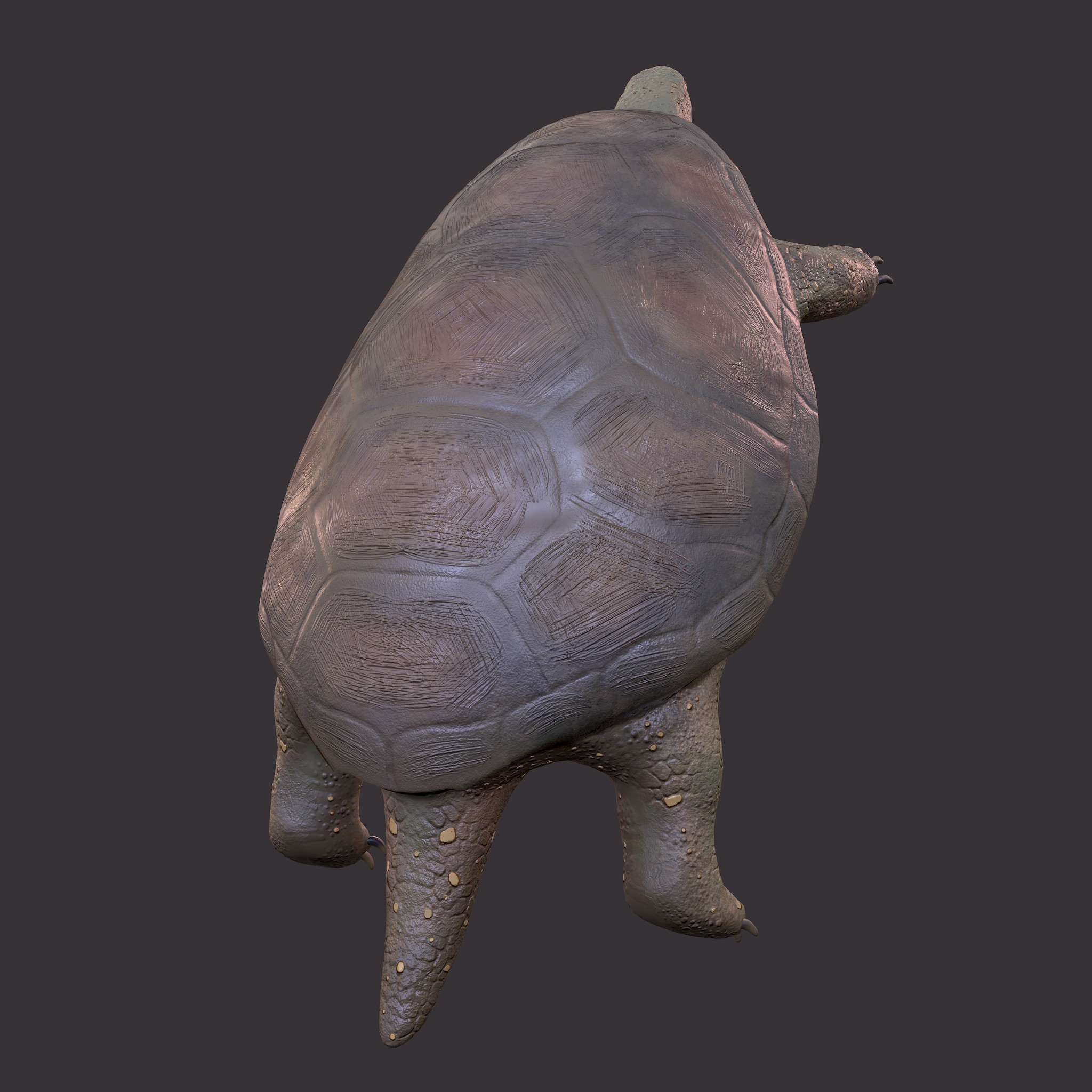 Turtle Brown Reptile - Free 3D Model by Get Dead Entertainment