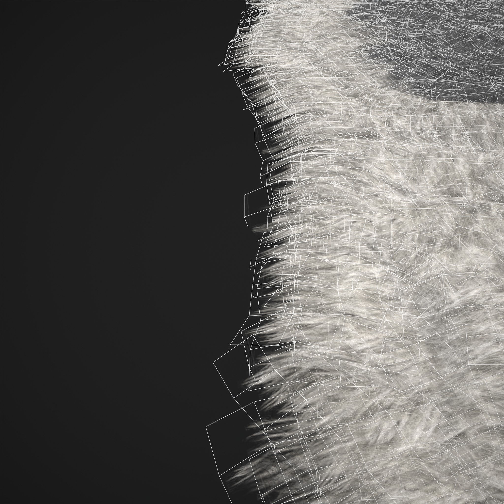Viking Style Light Spotted Fur - 3D Model by Get Dead Entertainment