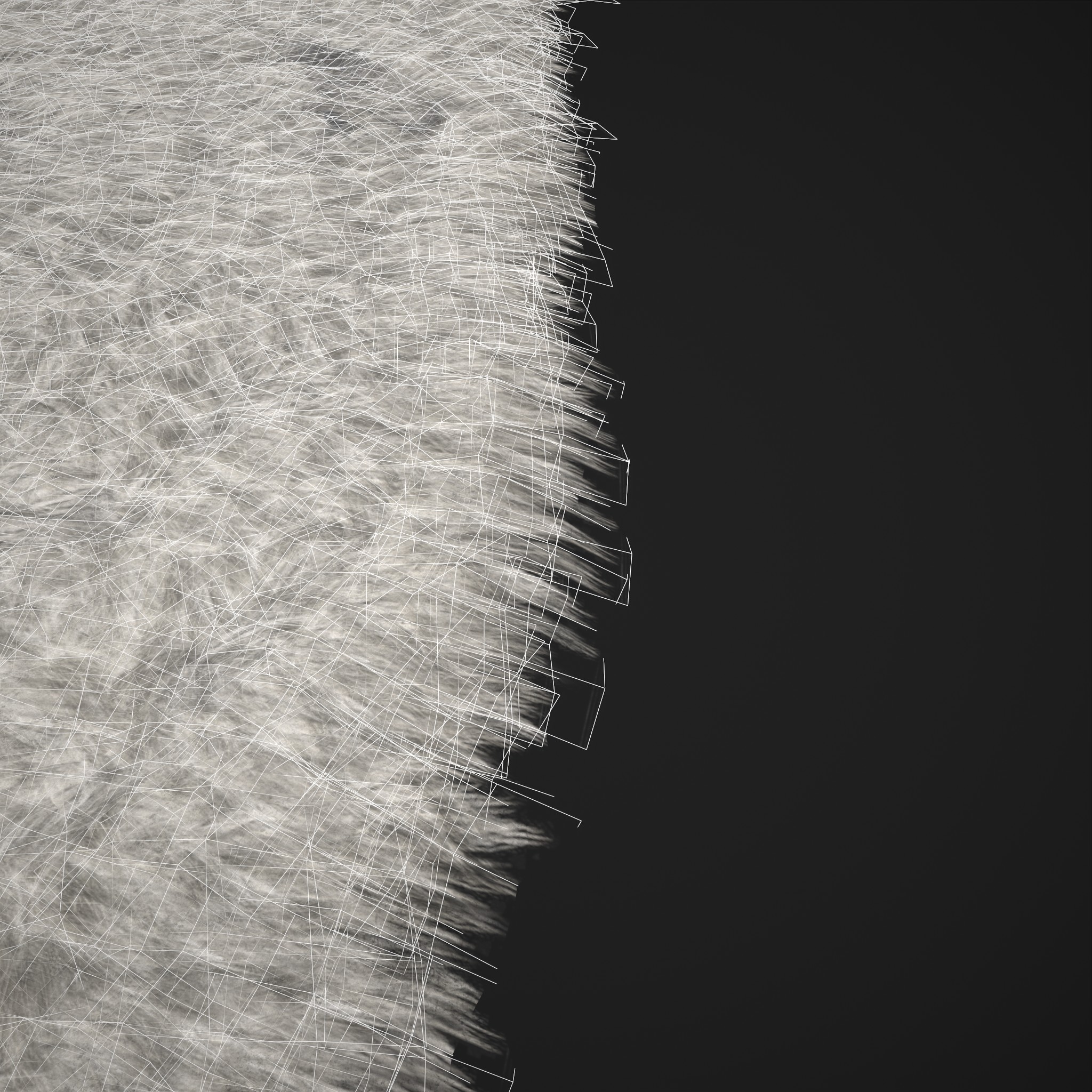 Viking Style Light Spotted Fur - 3D Model by Get Dead Entertainment