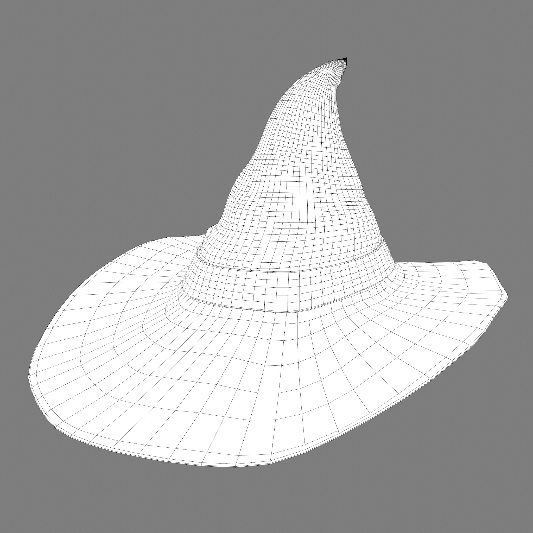 Witch Hat - 3D Model by Get Dead Entertainment
