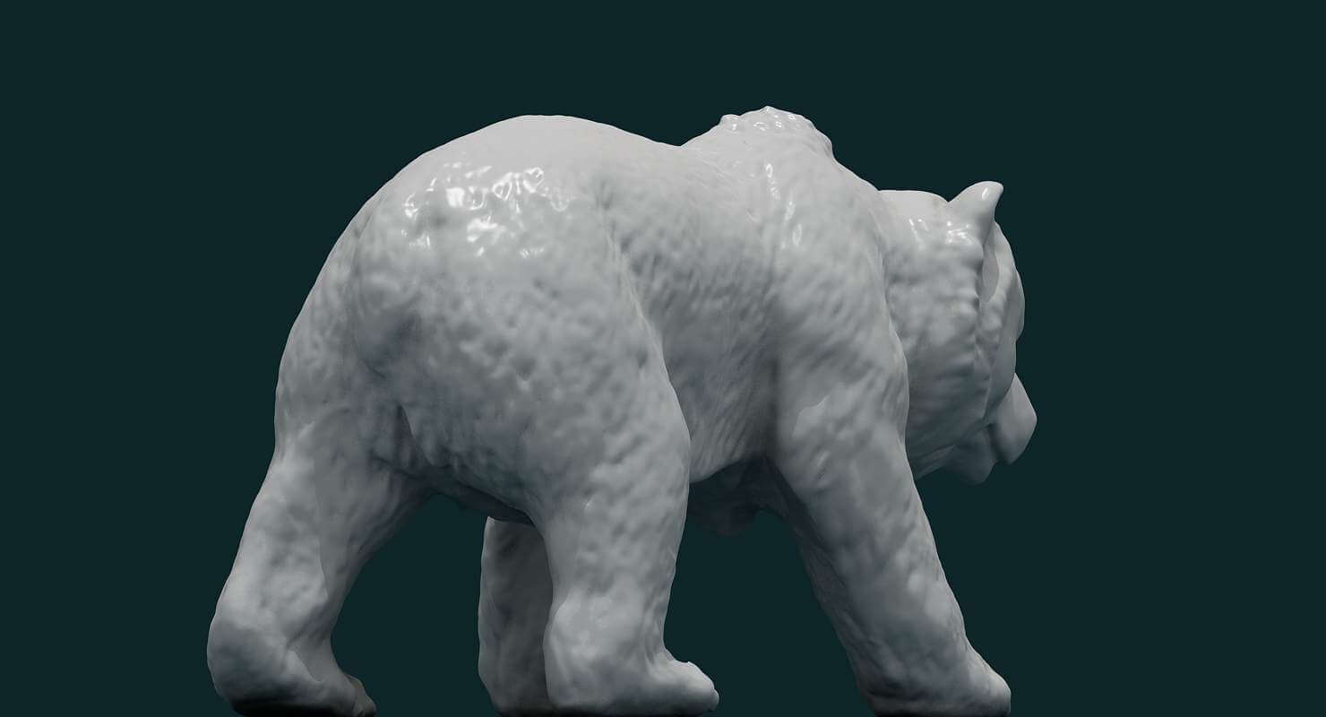 Bear - 3D Model by Giimann