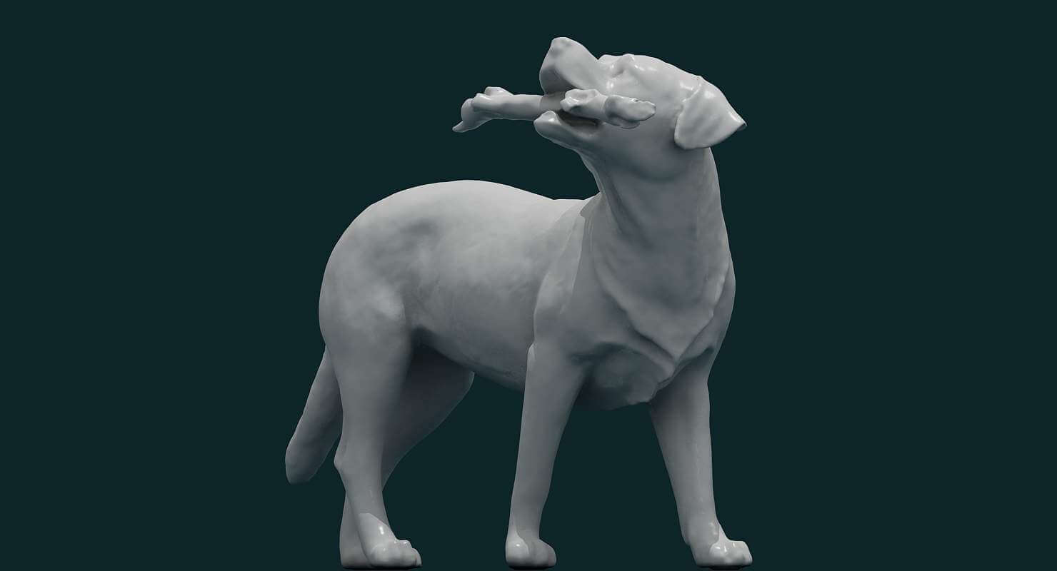 Dog - 3D Model by Giimann