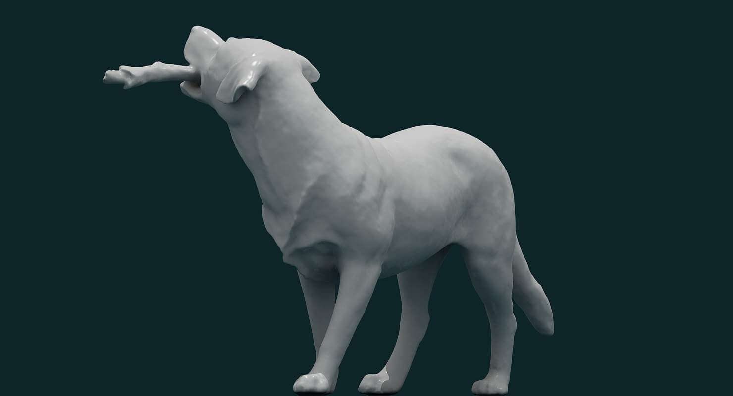 Dog - 3D Model by Giimann