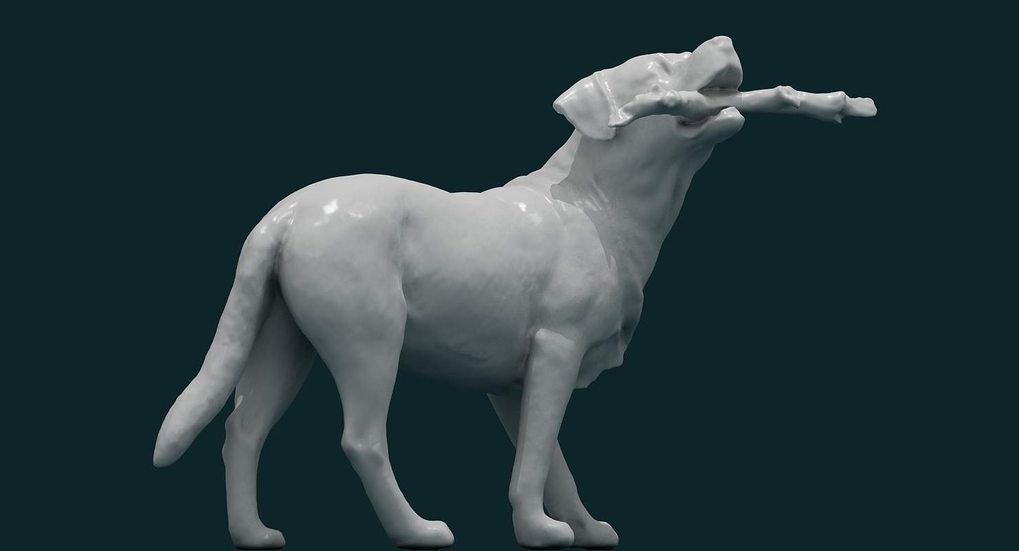 Dog - 3D Model by Giimann