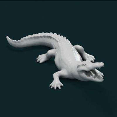 Alligator - 3D Model by Giimann