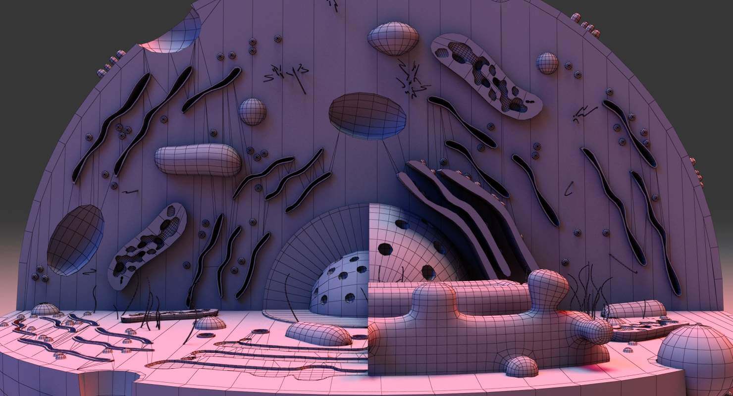 Animal Cell - 3D Model by Giimann