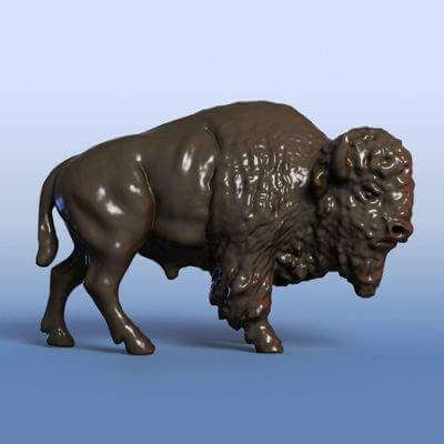 Bison - 3D Model by Giimann