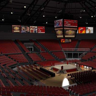 Boxing Arena - 3D Model by Giimann