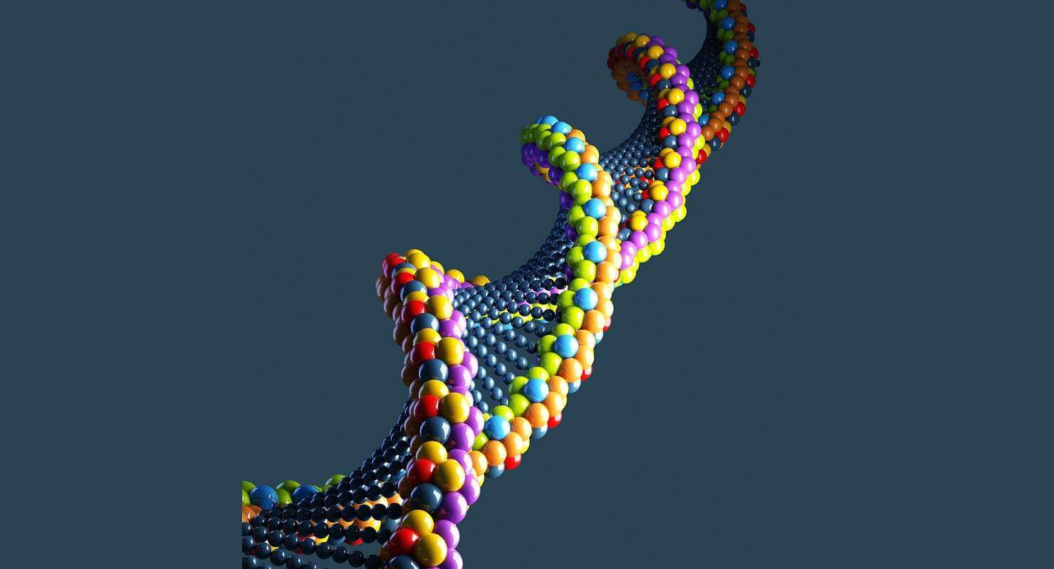 DNA - 3D Model by Giimann