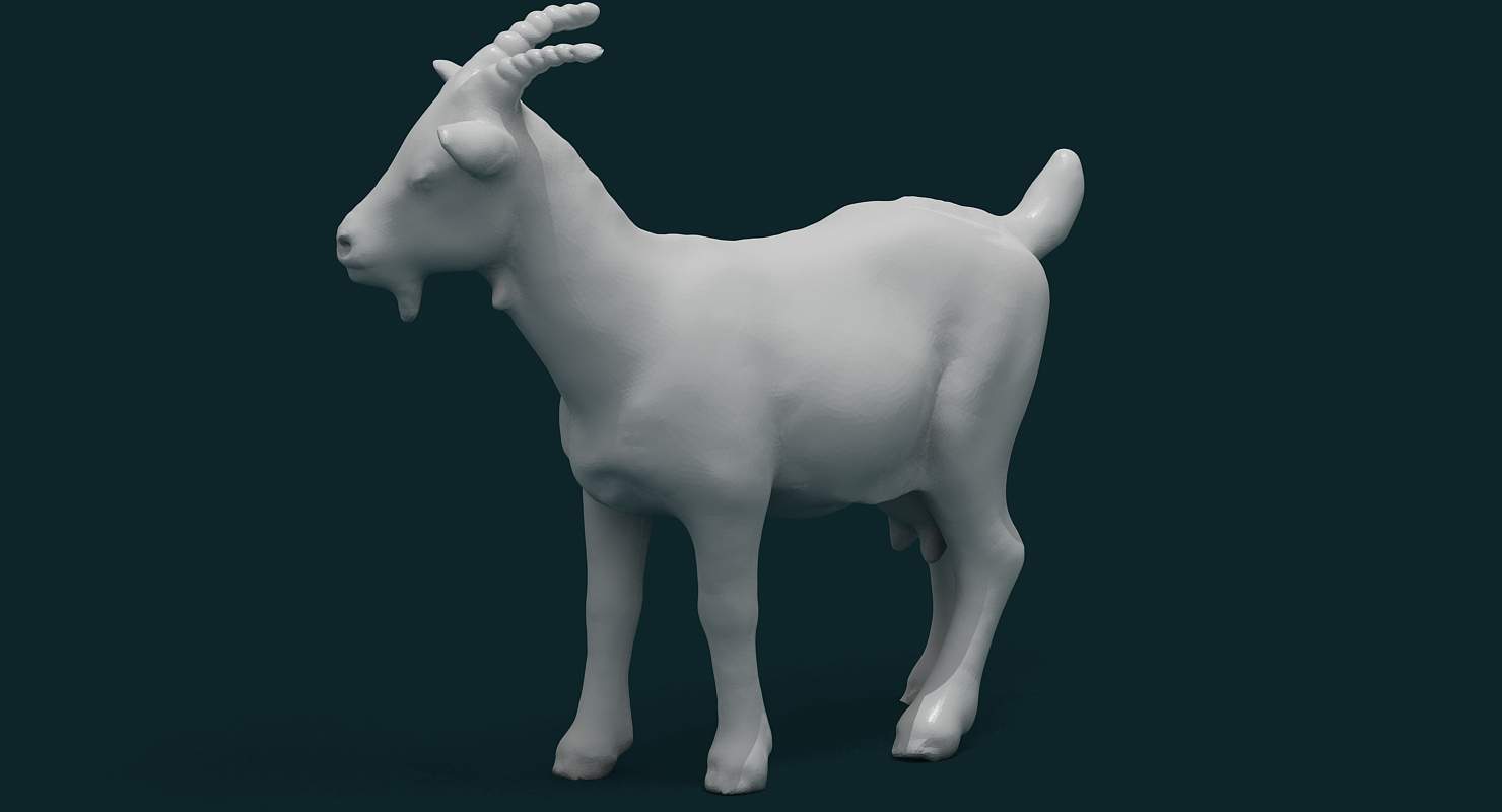 Goat - 3D Model by Giimann
