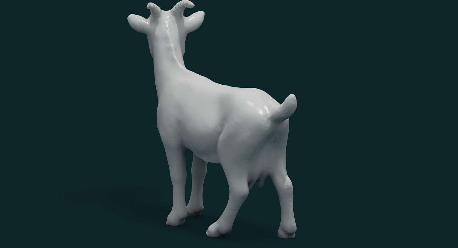 Goat - 3D Model by Giimann