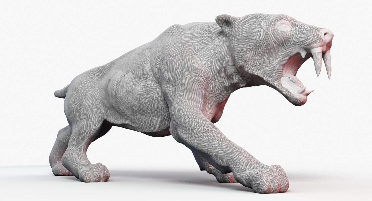 Sabre Tooth Tiger - 3D Model by Giimann