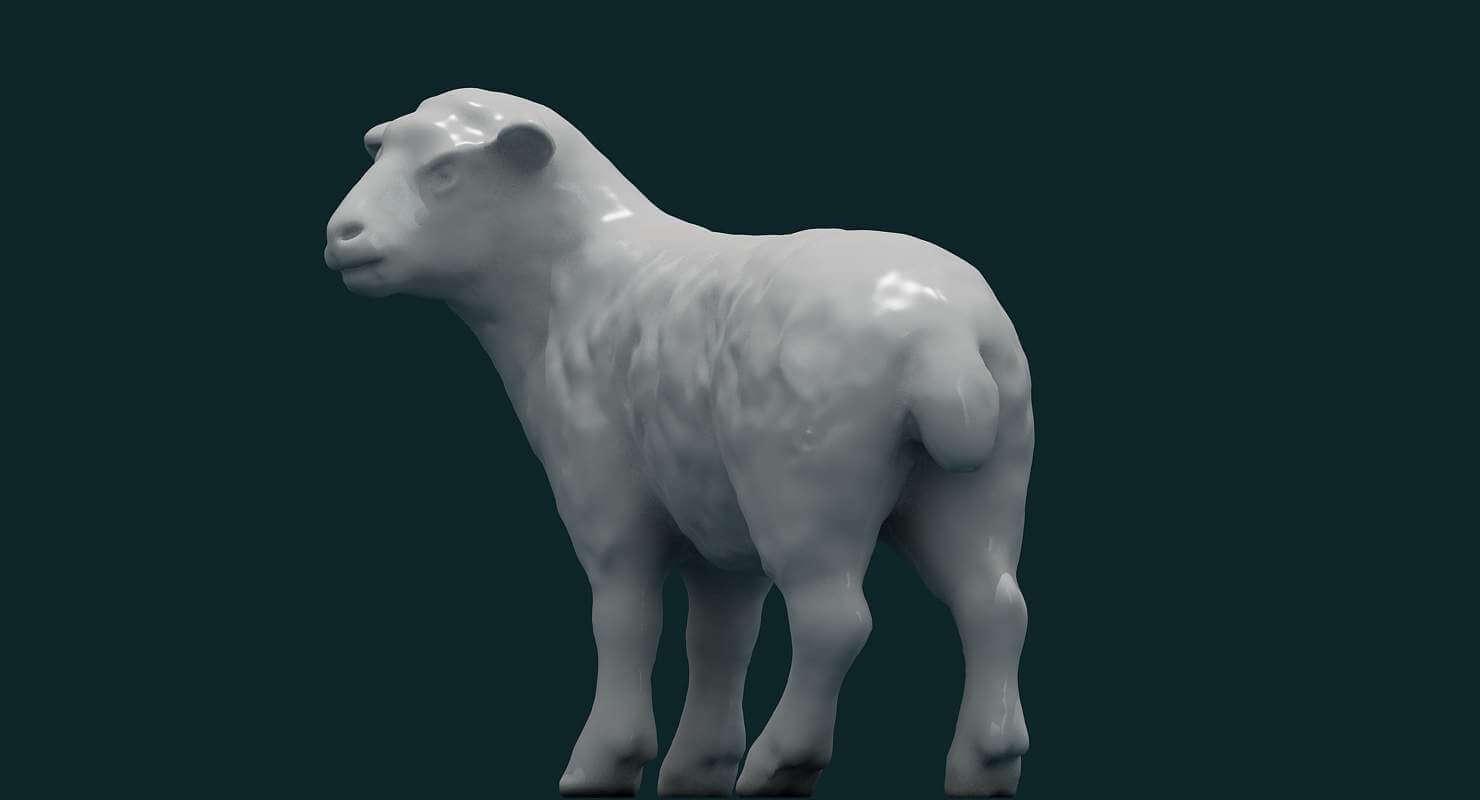 Sheep - 3D Model by Giimann
