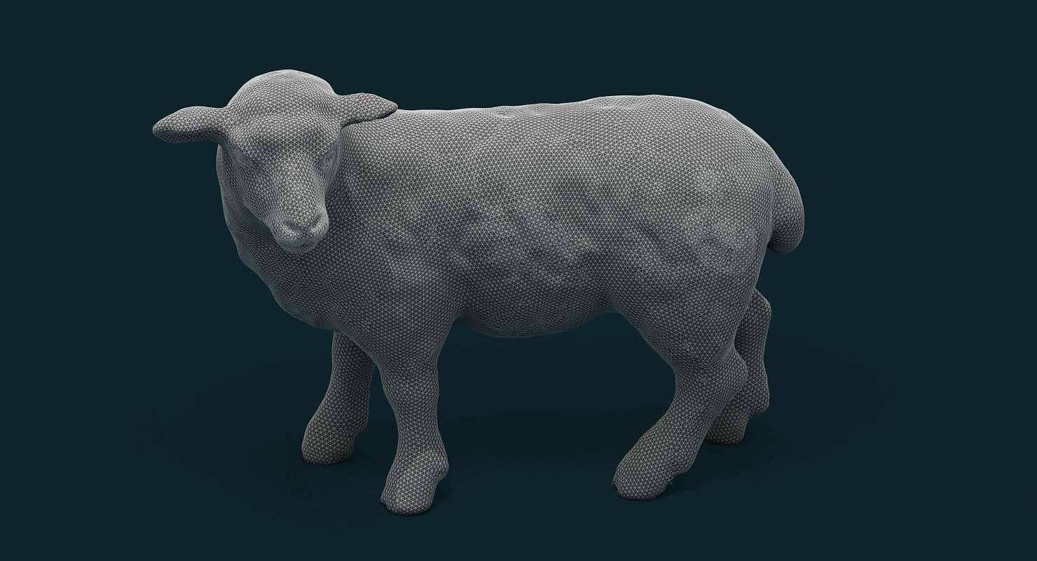Sheep - 3D Model by Giimann