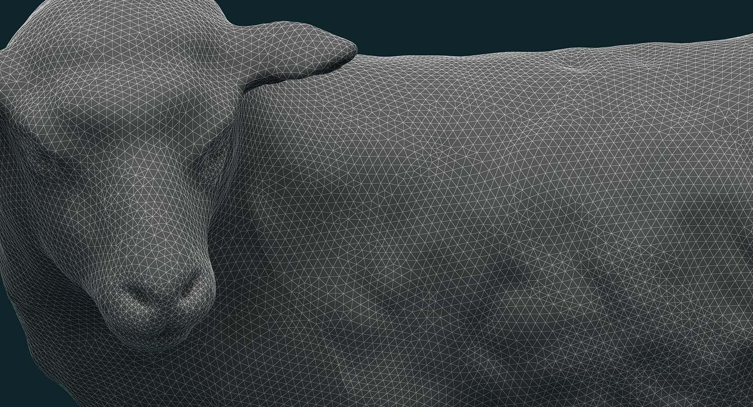 Sheep - 3D Model by Giimann