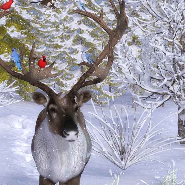 3D Render Gallery by Gise at RenderHub