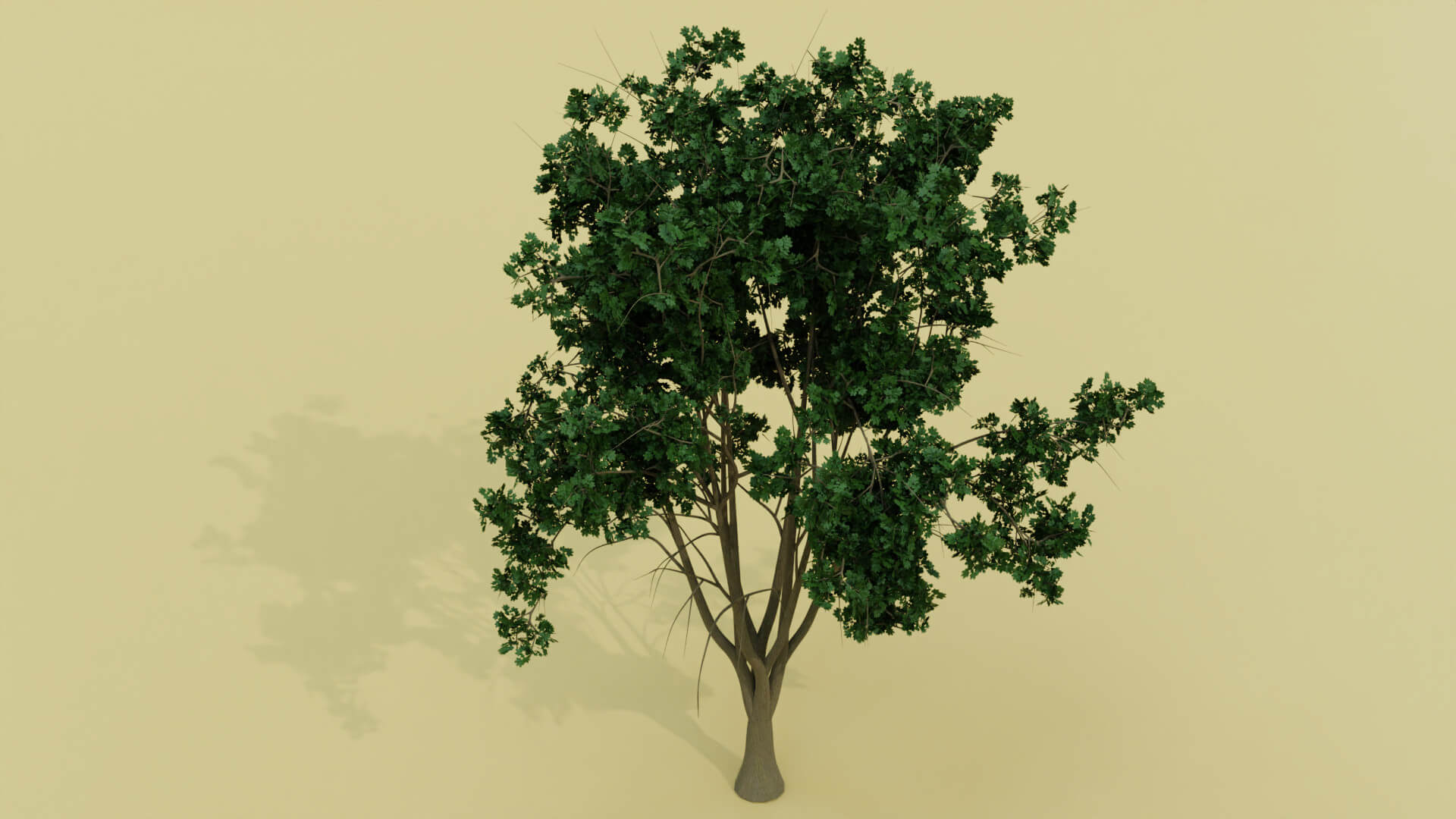 Oak Tree - 3D Model by Gizem Dilara Tek