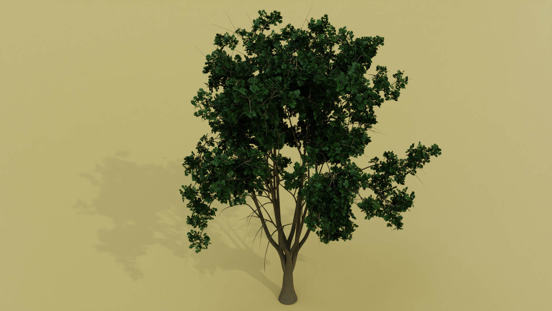 Oak Tree - 3D Model by Gizem Dilara Tek