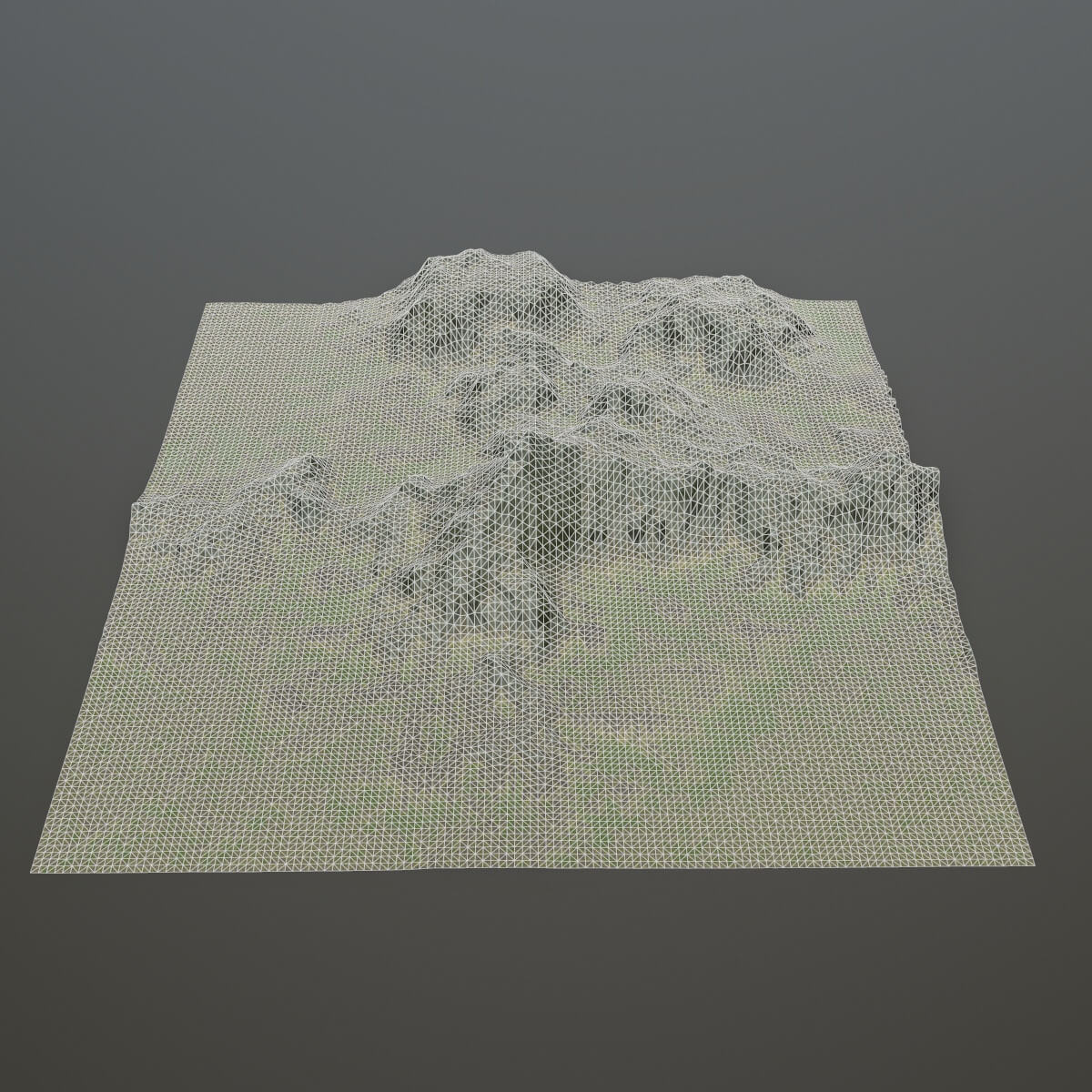 Terrain - 3D Model by Gizem Dilara Tek