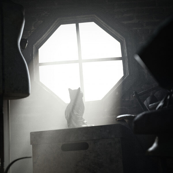 Daz Studio Gallery | Submit Your 3D Renders at RenderHub