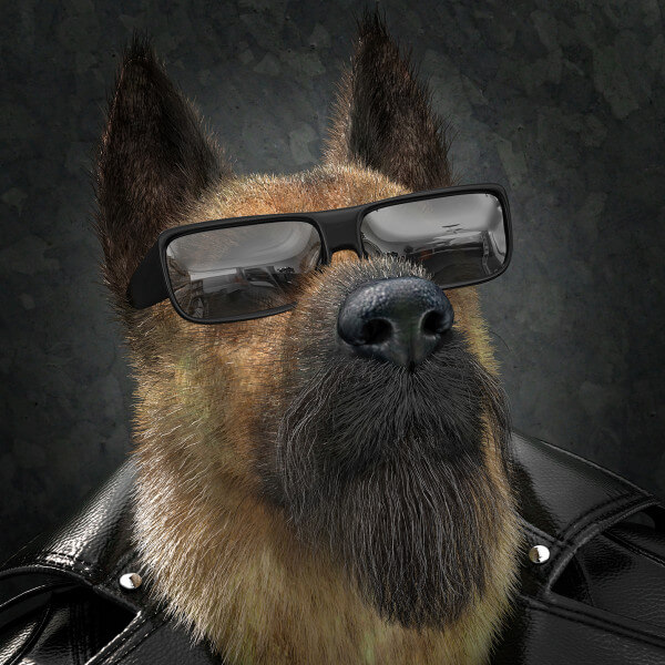 Image 256 3D Render | RenderHub Gallery