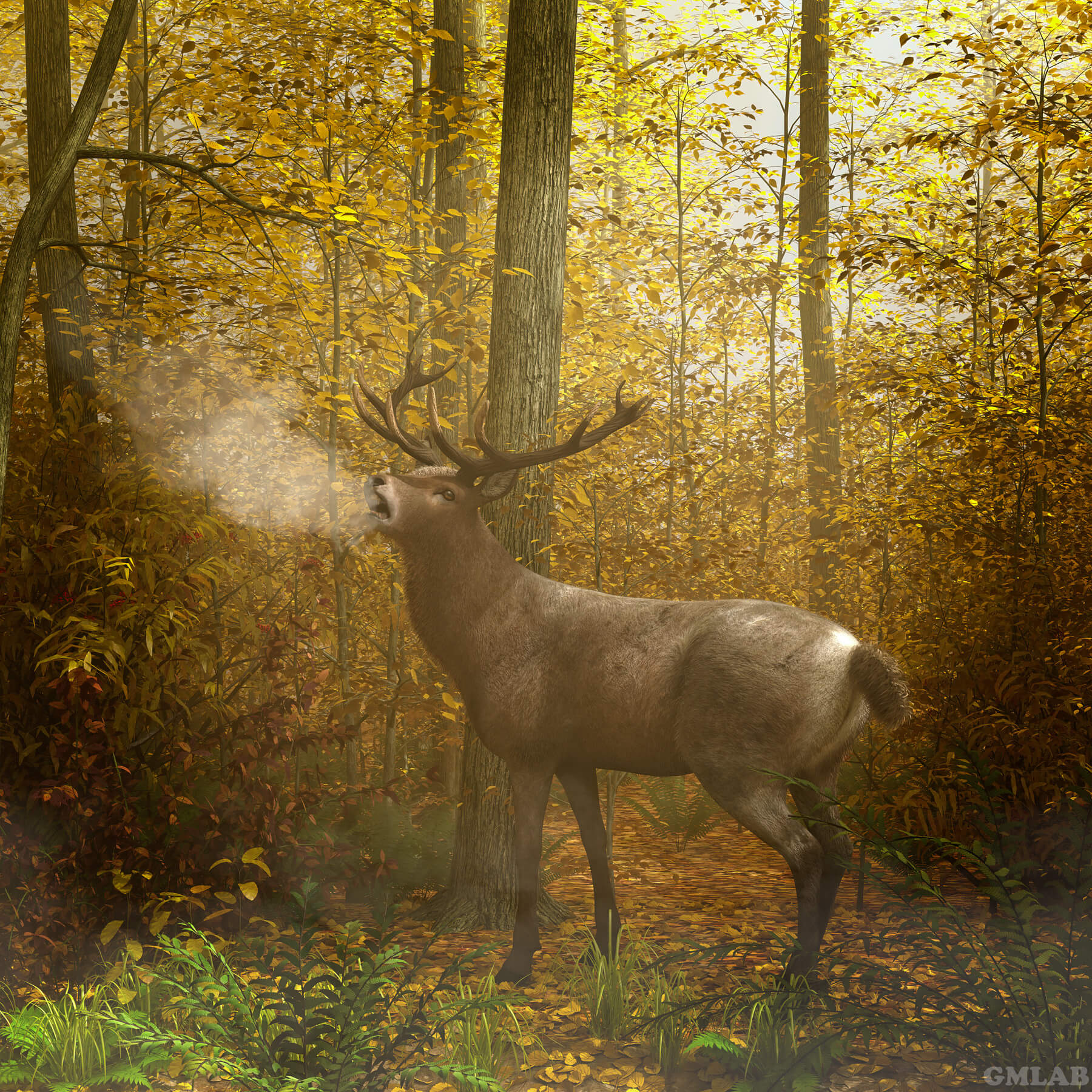 Autumn Buck Wallpaper