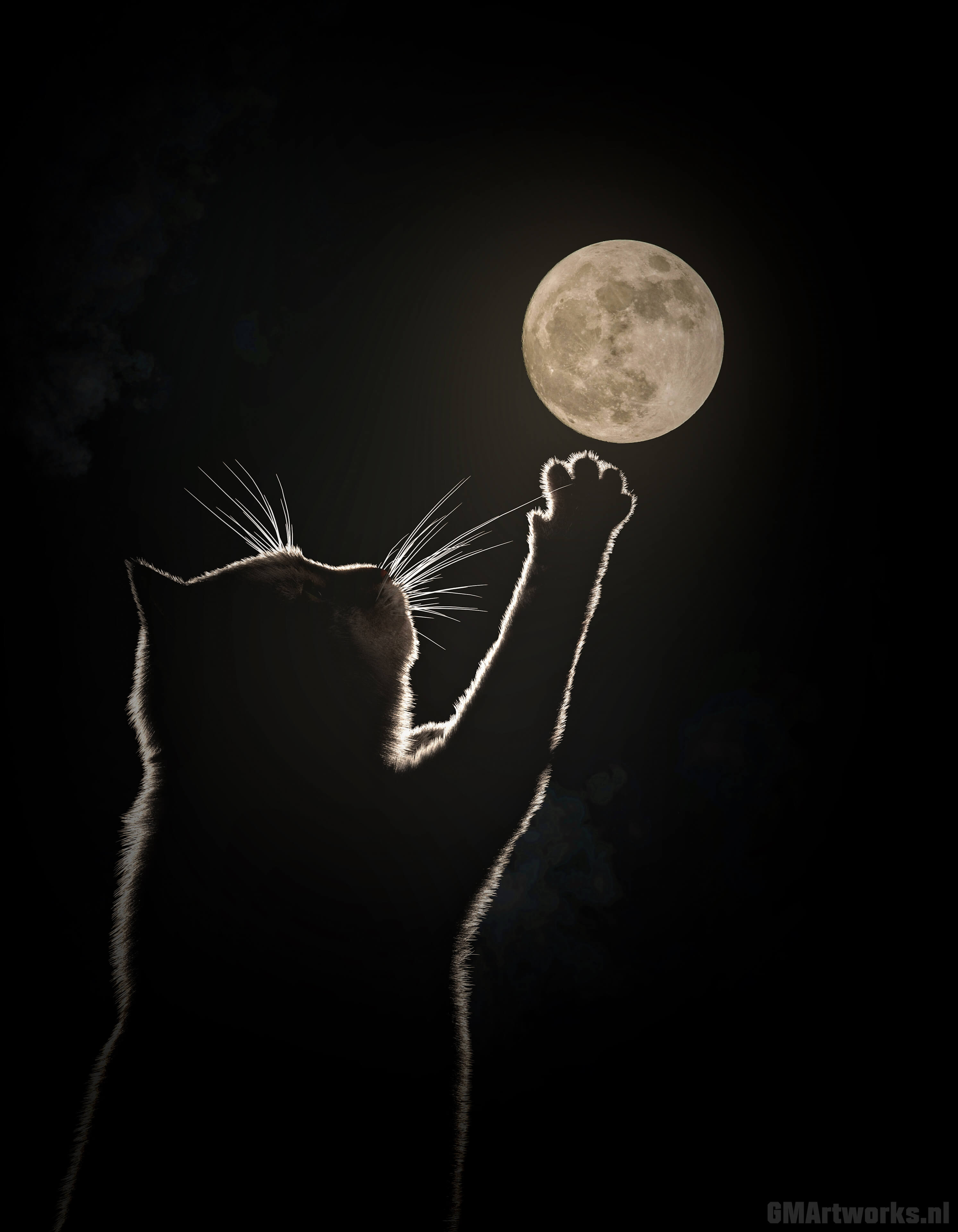 Moon Cat 3D Render, Digital Art by GMArtworks