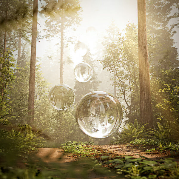 The Forest 3D Render | RenderHub Gallery