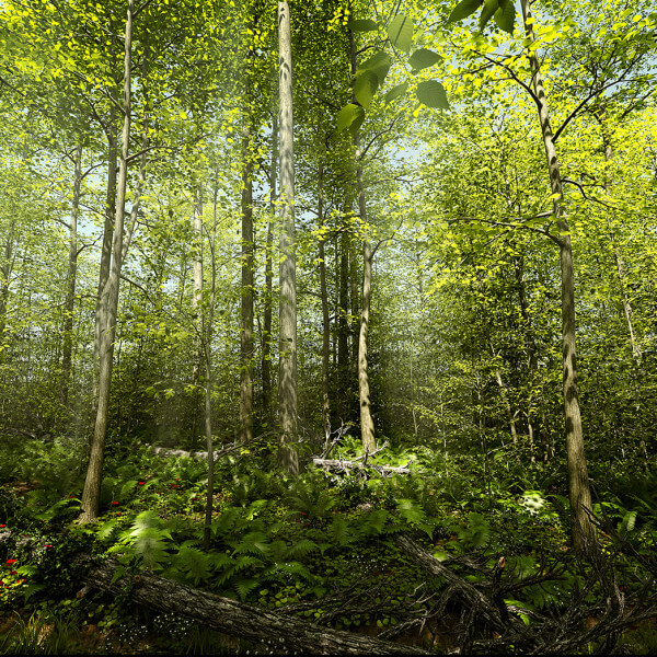 Nvidia Iray Render Gallery | Submit Your 3D Renders at RenderHub