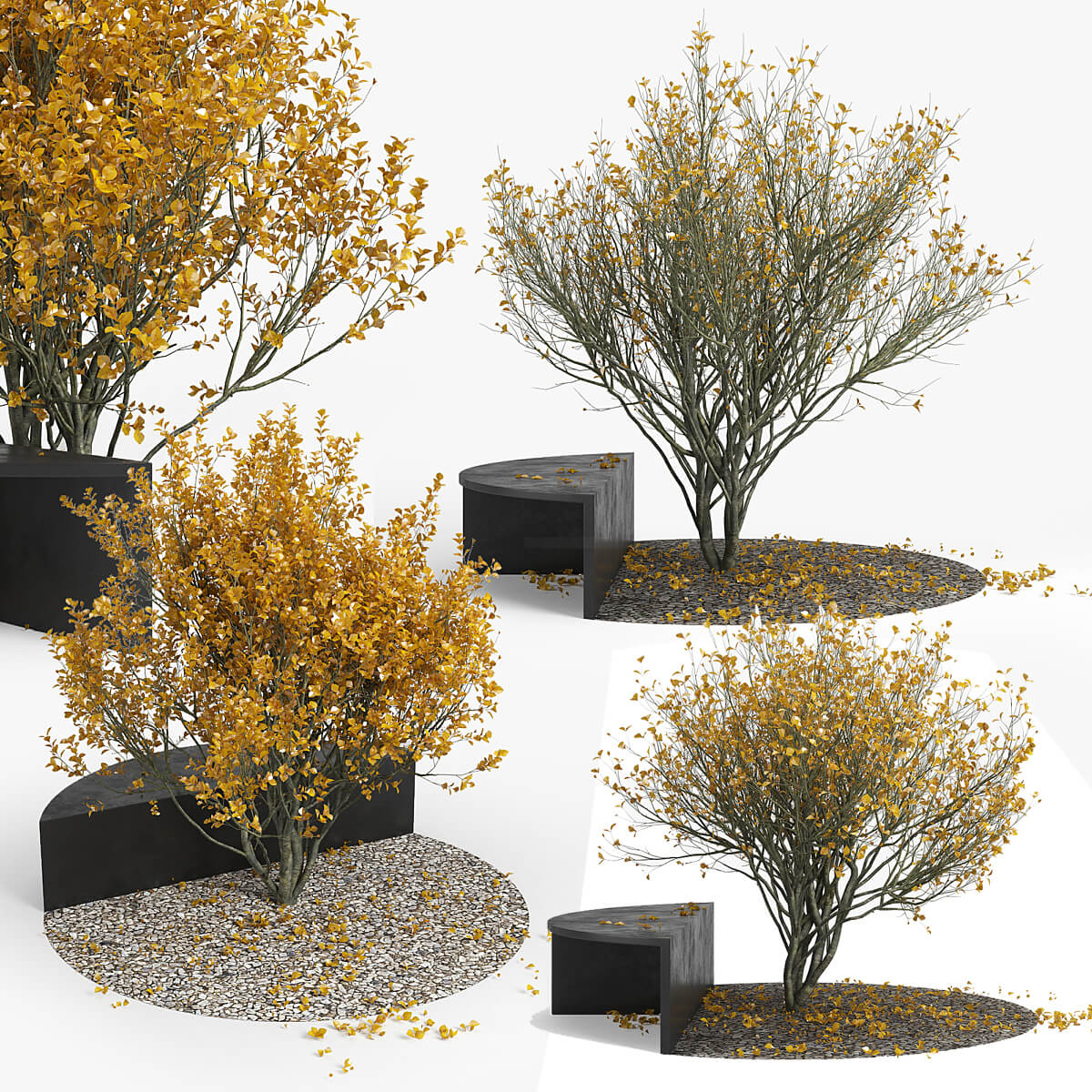 Tree Autumn 2 - 3D Model by GOLD MASTER
