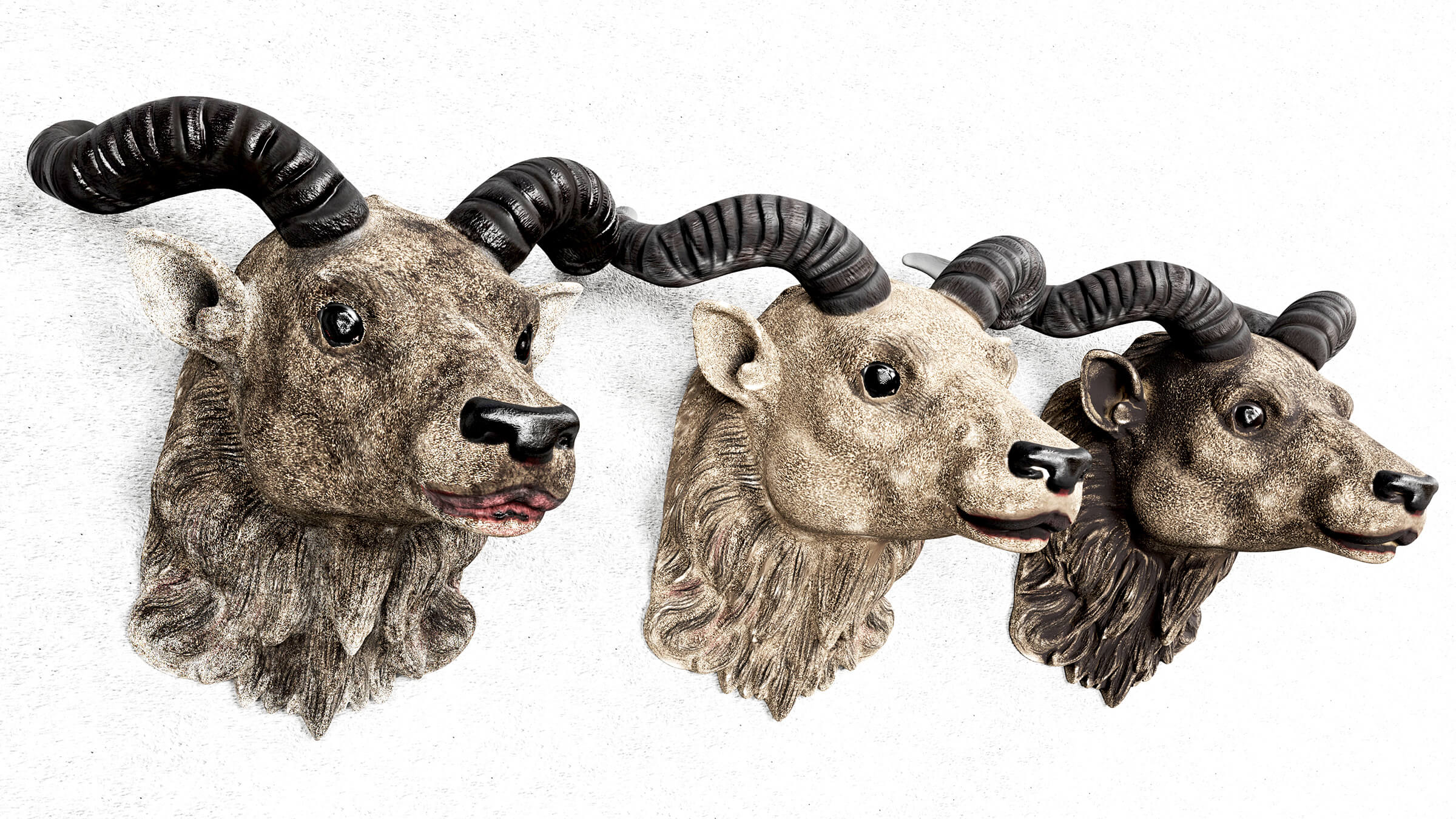 Goat Heads with Spiral Horns - 3D Model by GOLD MASTER