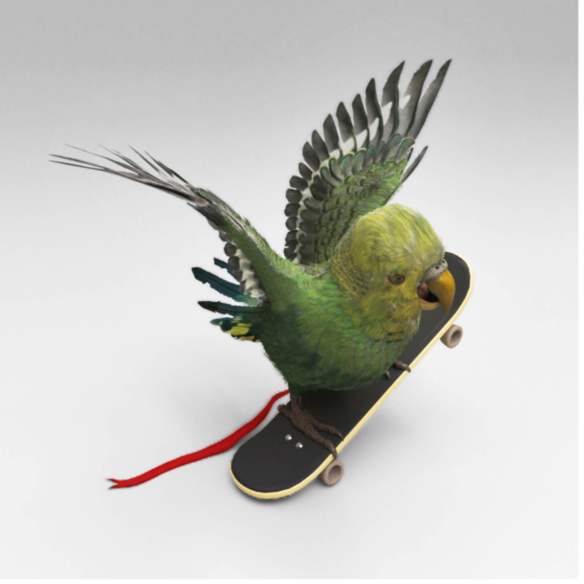 Parrot1cockatoo - 3D Model by GOLD MASTER