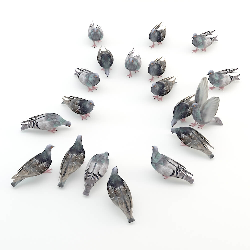 Pigeons Group 1 - 3D Model by GOLD MASTER