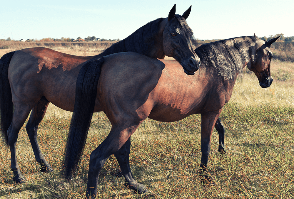 Fred and Ethel 3D Render, Digital Art by gorjira