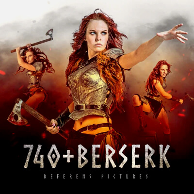 740+ Berserk Reference Pictures by Grafit Studio