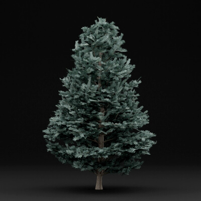 Game Ready Models | Plants | Fir Trees | RenderHub