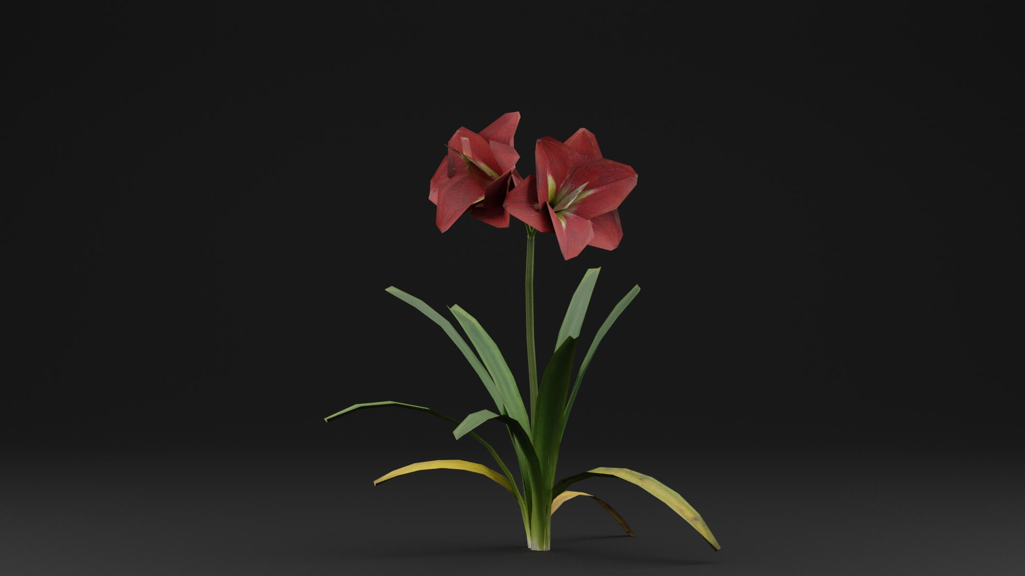 Amaryllis Plant - 3D Model by Green Lander