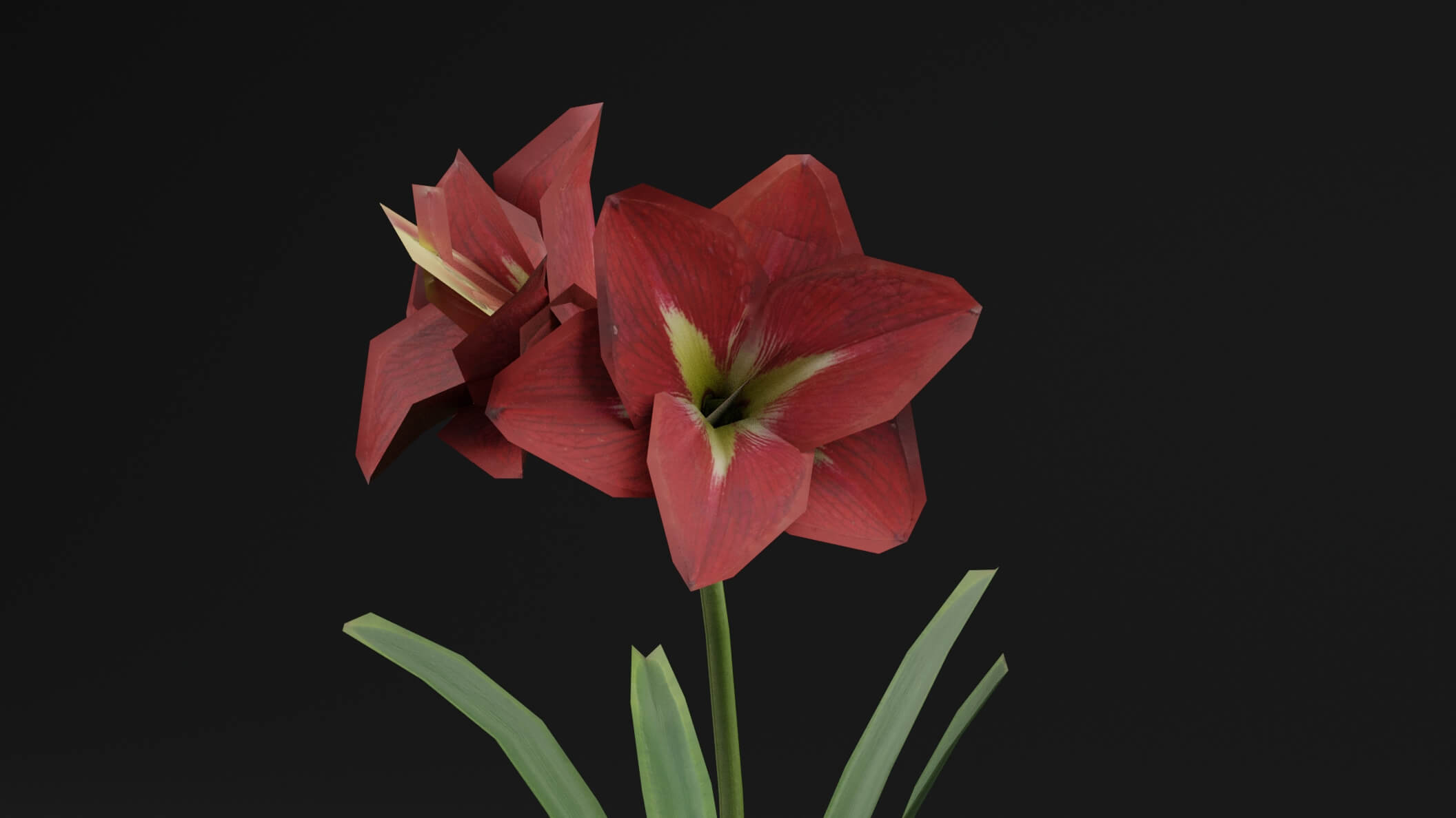 Amaryllis Plant - 3D Model by Green Lander
