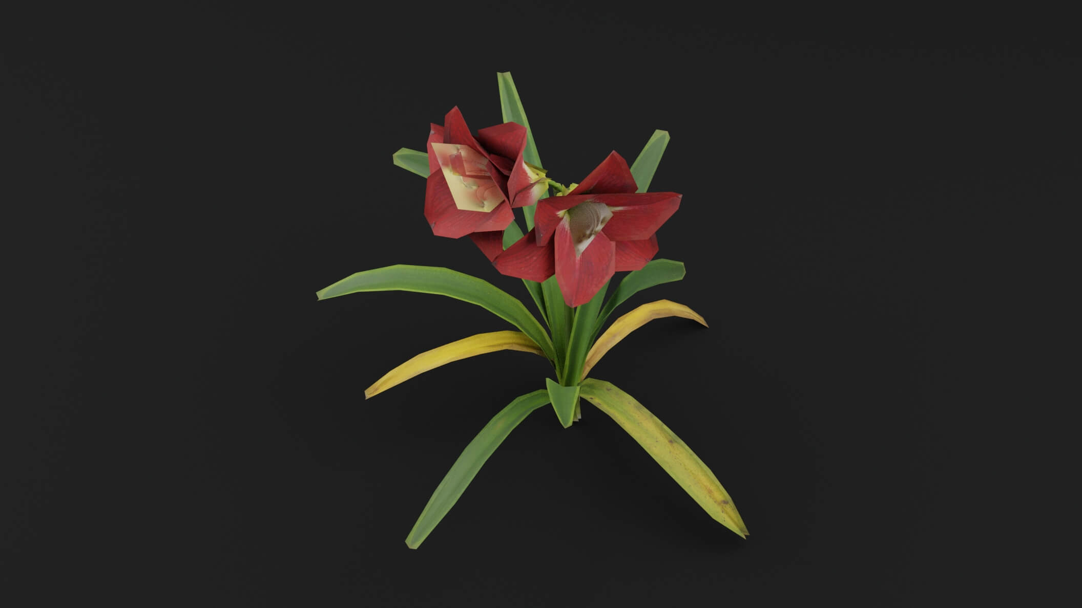 Amaryllis Plant - 3D Model by Green Lander