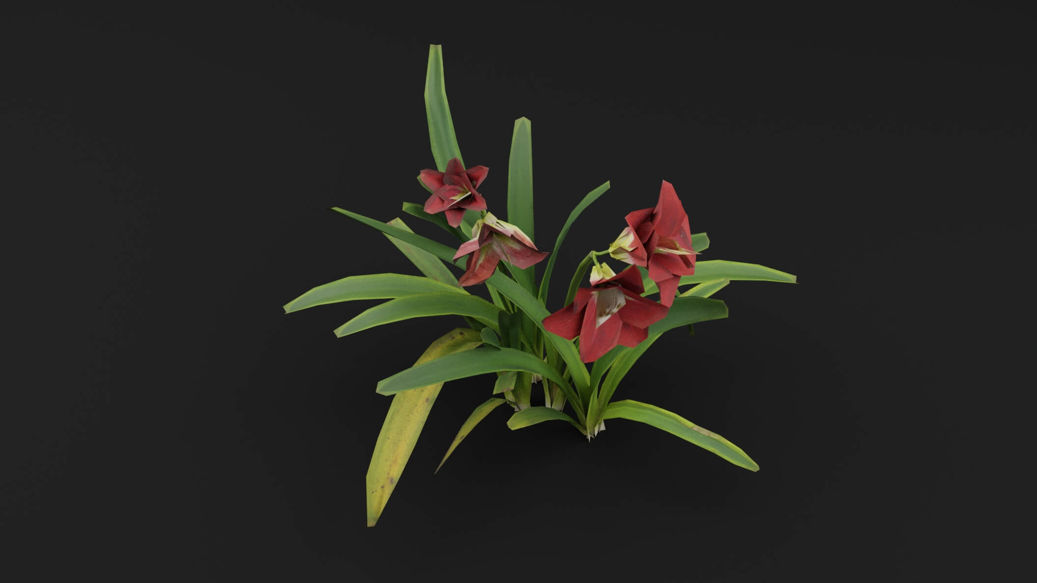 Amaryllis Plant - 3D Model by Green Lander