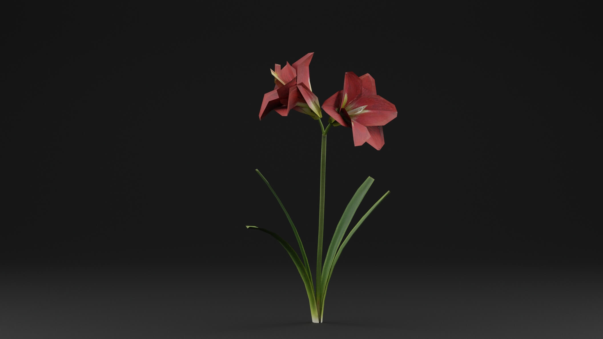 Amaryllis Plant - 3D Model by Green Lander