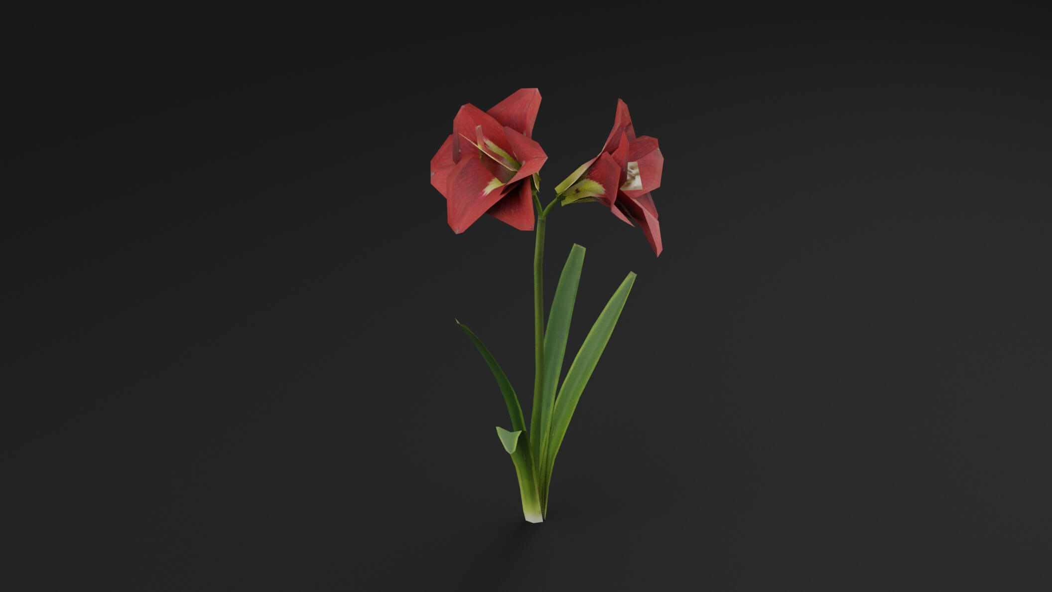 Amaryllis Plant - 3D Model by Green Lander