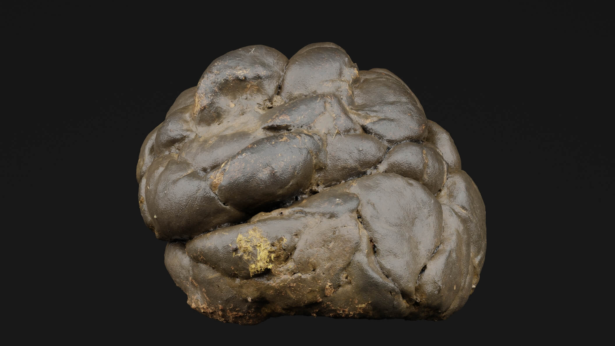 Animal Manure - 3D Model by Green Lander