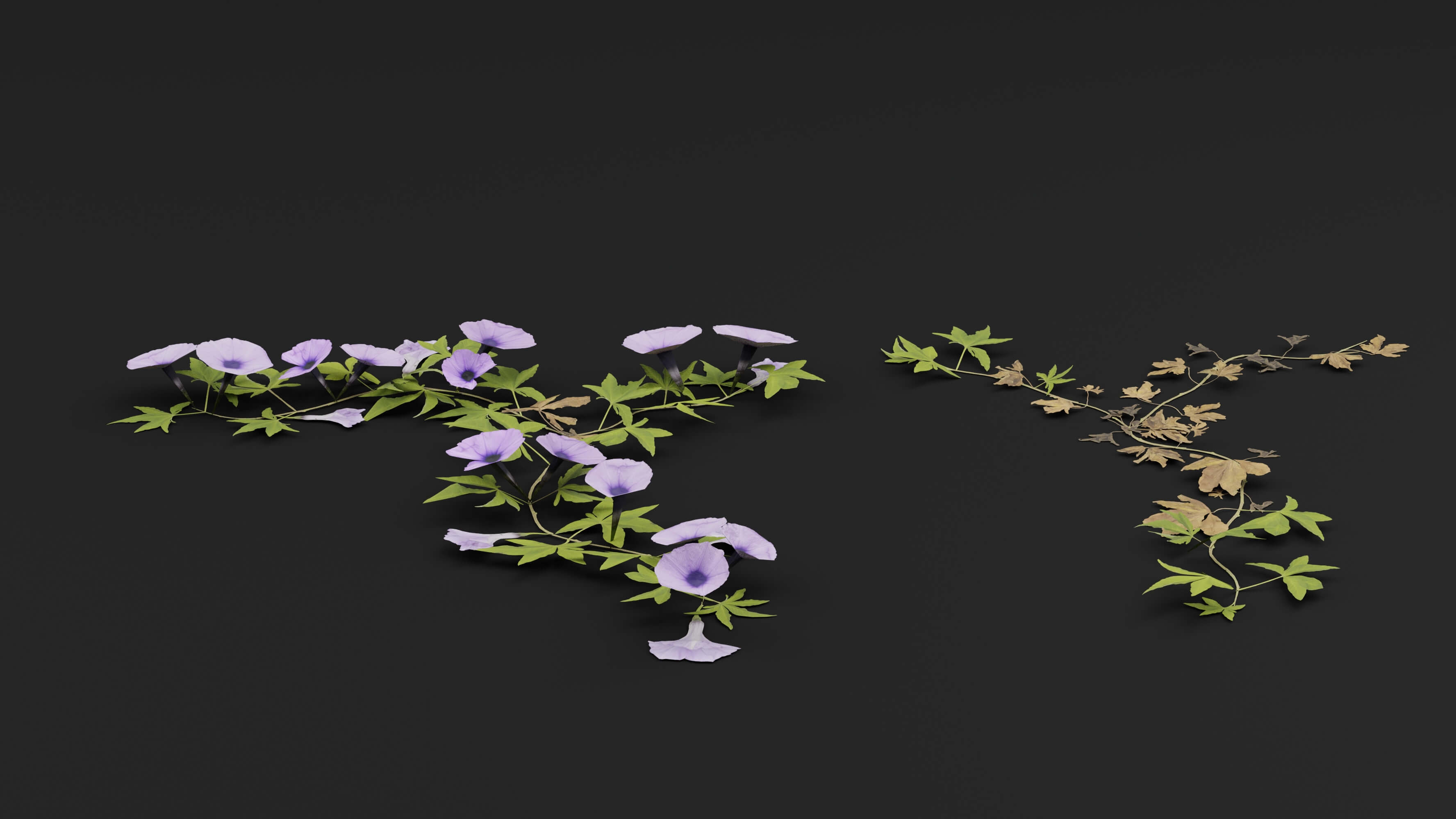 Asiatic Tearthumb Plant - 3D Model by Green Lander