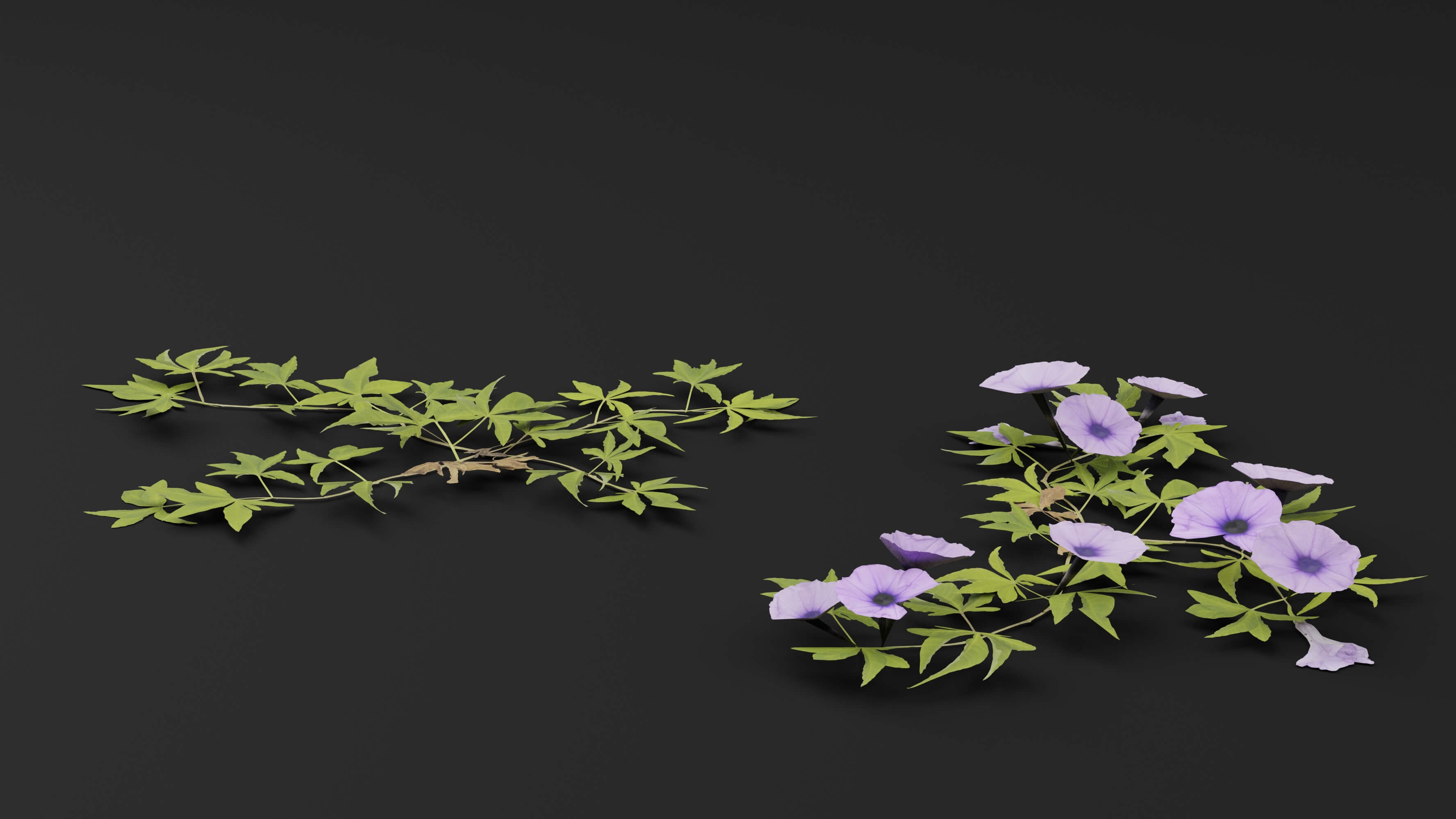 Asiatic Tearthumb Plant - 3D Model by Green Lander