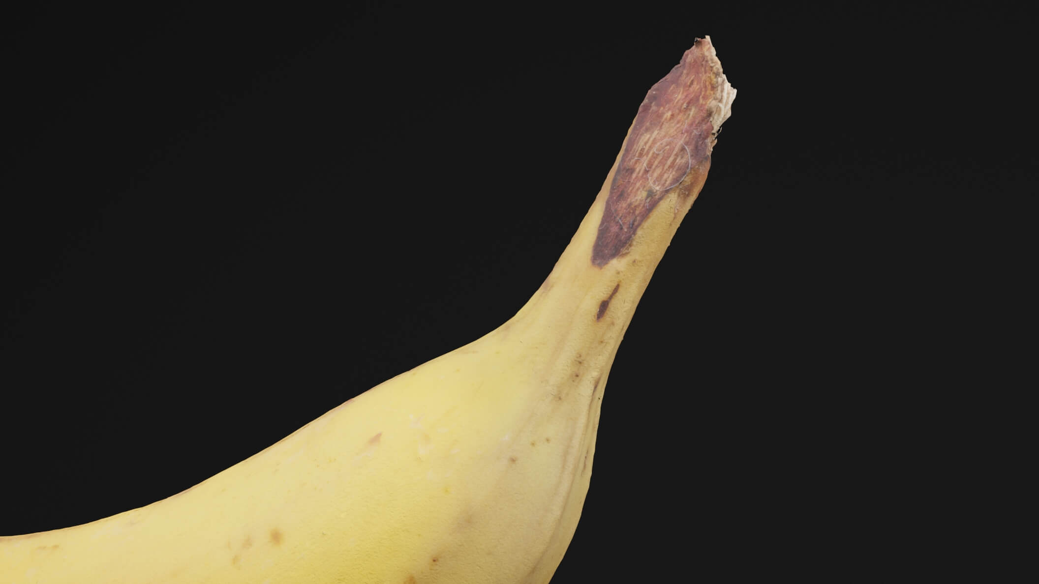 Banana Fruit - 3D Model by Green Lander